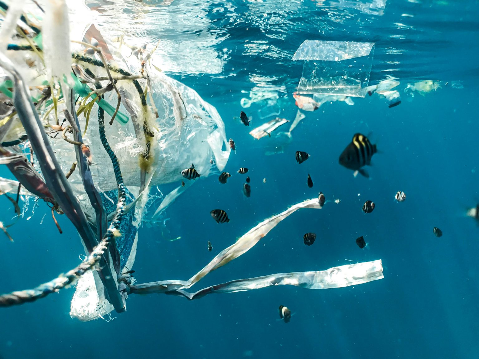 Why 2026 is a Pivotal Year for Global Waste Governance - ISWA World ...